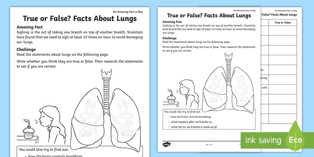 Respiratory System Activities For Kids Twinkl Homework Help