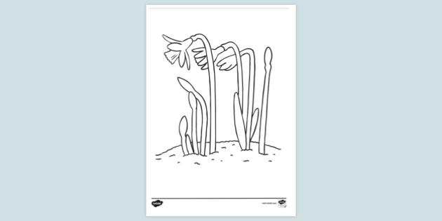 Springtime Colouring Page | Primary Resources | Twinkl