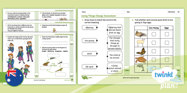 Year 2 Science Living Things Change Assessment Test