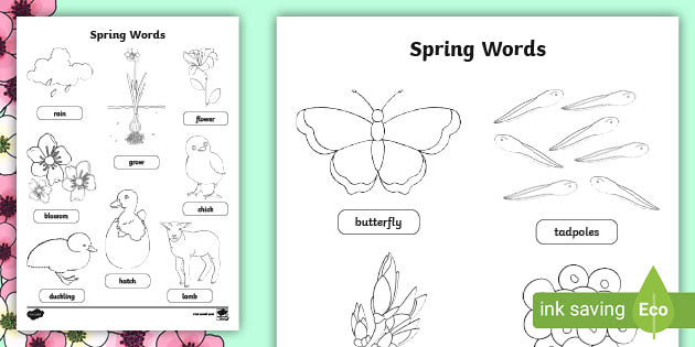 Springtime Words Coloring Sheets (Teacher-Made)