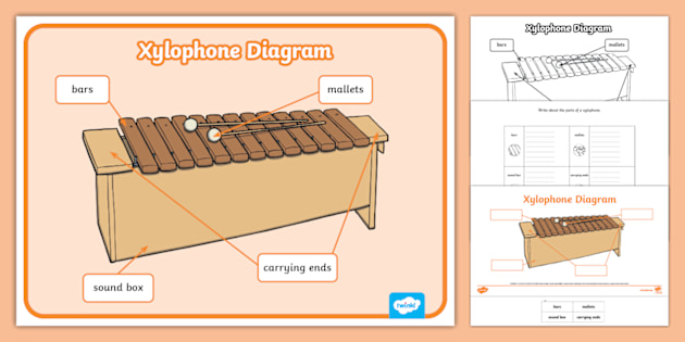 Xylophone Songs | twinkl.com.au