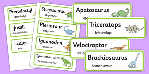 Dinosaur Word Cards Polish Translation (teacher made)