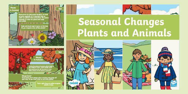 Seasonal Changes in Plants and Animals PowerPoint