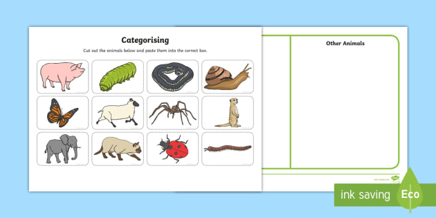 Minibeast and Other Animals Sorting Activity (teacher made)