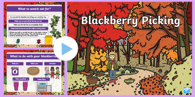 Blackberry Picking PowerPoint (teacher made)