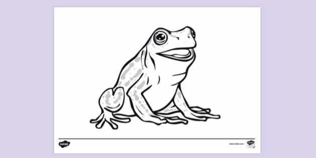 Frog | Colouring Book Page | KS1 Resources | Twinkl