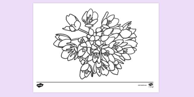 FREE! - Allium Colouring Sheet (teacher made)