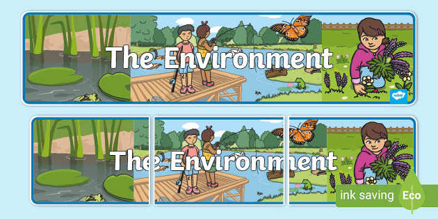 The Environment Display Banner Geography Junior/Senior Infants