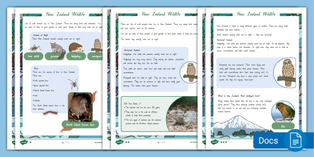 NZ Wildlife Differentiated Reading Comprehension Activity