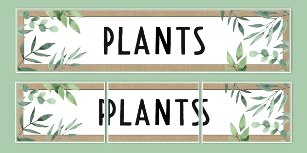 Plants Display Banners | twinkl.com.au