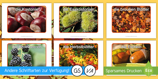 Herbst Fotos Poster DIN A4 (teacher made)