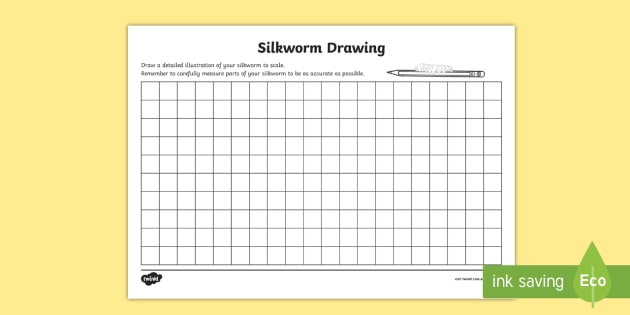 Silkworm Drawing Worksheet (teacher made)