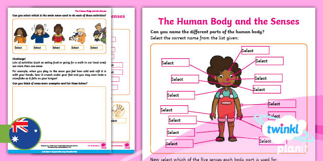 Year 1 Science Features Living Things Interactive Activity 1