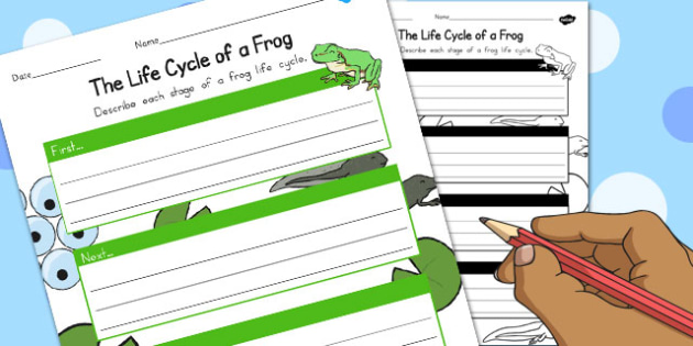 The Life Cycle of a Frog Writing Frame (teacher made)