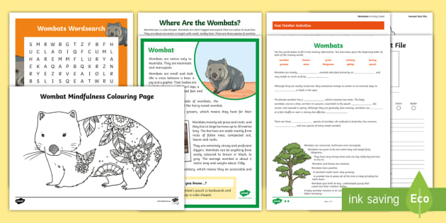 Wombat Resource Pack (teacher made)