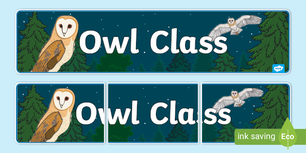 Owl Themed Classroom Display Banner (teacher made)