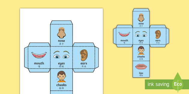 Parts of the Face Dice Nets English/Mandarin-Chinese