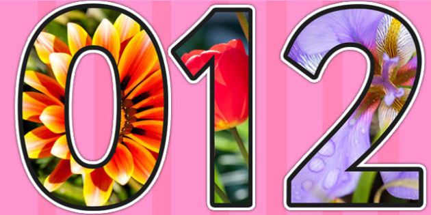 Flower Themed A4 Photo Display Numbers