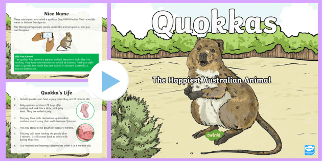 Parts of a Quokka Worksheets - Parents - Science and STEM