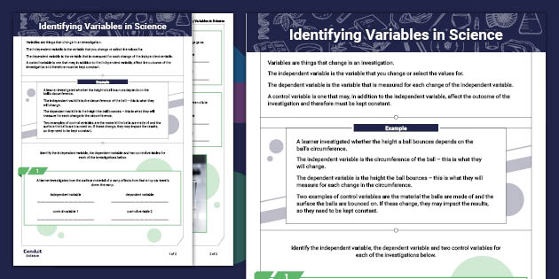 Identifying Variables Worksheet