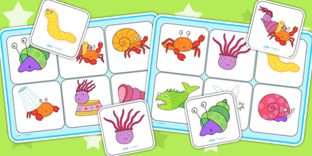 FREE! - Matching Mat SEN to Support Teaching on Sharing a Shell