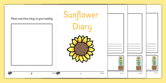 Sunflower Diary Writing Frame - sunflower, diary writing frame