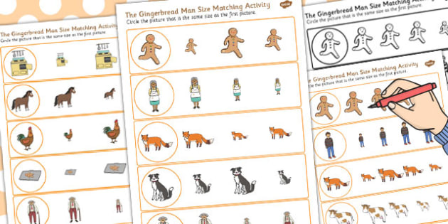 The Gingerbread Man Size Matching Worksheet (teacher made)