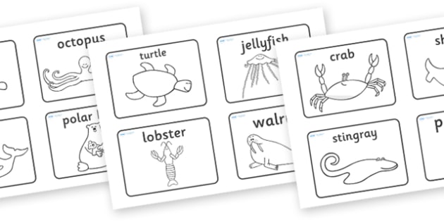 Story Sequencing (4 per A4) to Support Teaching on Commotion In The Ocean