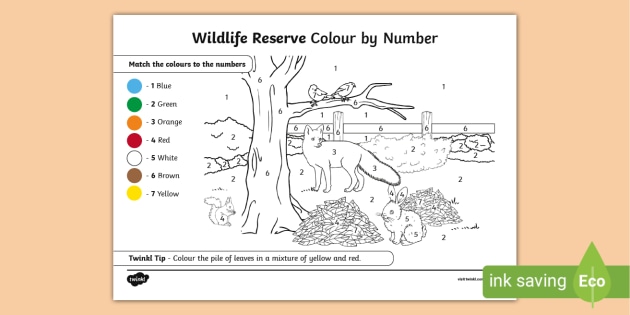 FREE! - Wildlife Reserve Colour by Number (teacher made)