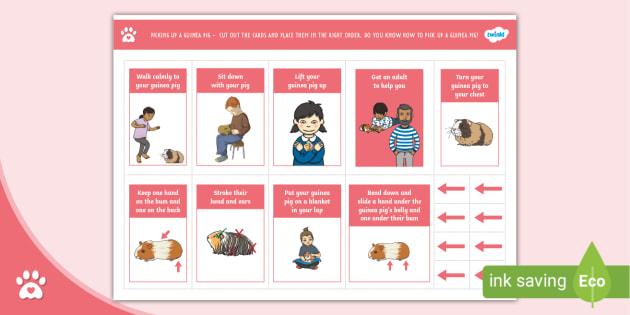 Picking up a Guinea Pig - Sequencing Cards - Twinkl Pets