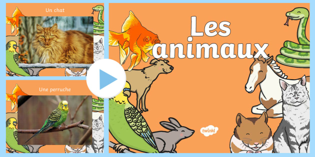 Présentation PowerPoint sur les animaux | Cycle 1