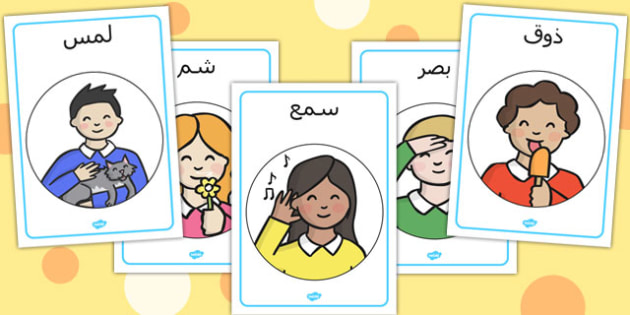 ملصقات عرض حواسي - حواسي، الحواس الخمس،