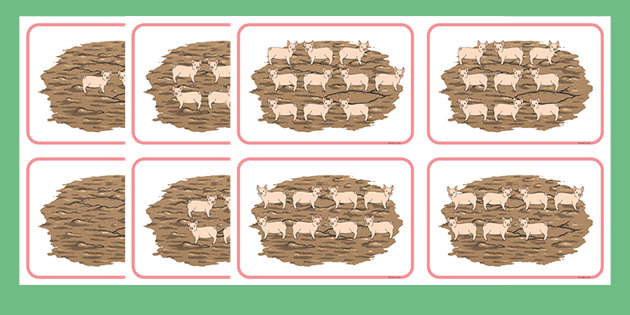 👉 Pigs in the Pen Number Cards to 10 (teacher made)