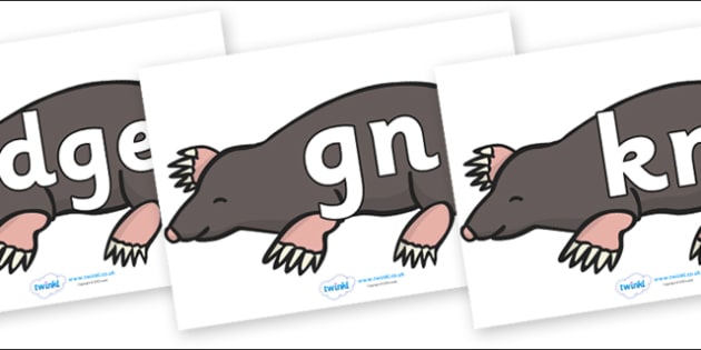 Silent Letters on Moles