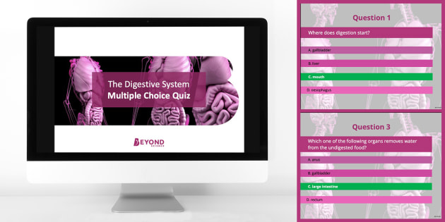 The Digestive System Multiple Choice Quiz PowerPoint