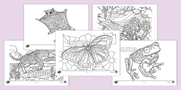Editable Mindfulness Name Colouring Activity Animals