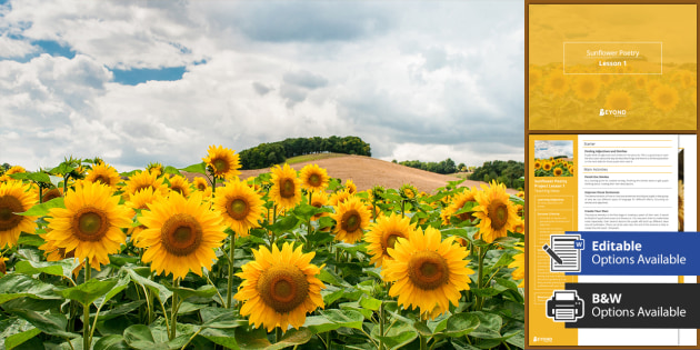 FREE! - Sunflower Poetry Project Lesson 1: Similes and Adjectives