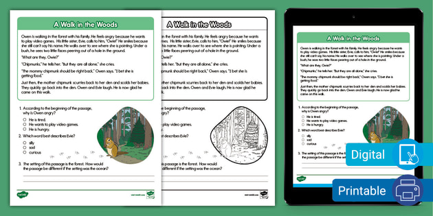 Second Grade A Walk in the Woods Reading Passage Comprehension Activity
