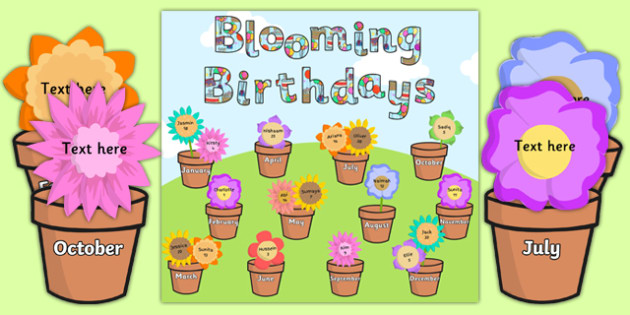 Blooming Birthdays Flower Display Pack - birthdays, display, pack