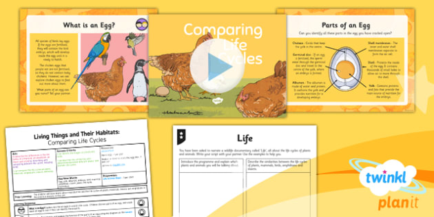 Eggs Biology | twinkl.co.uk