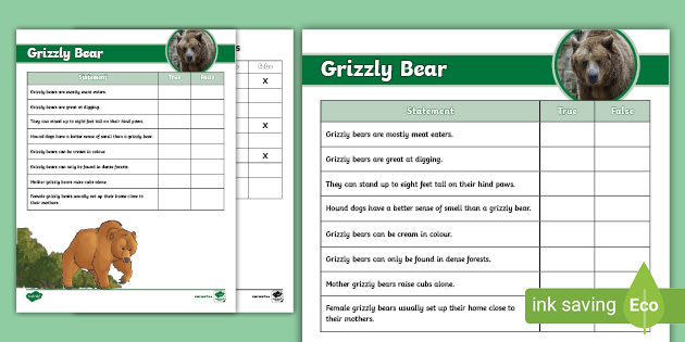 Grizzly Bear True or False Activity - Grades 4-6