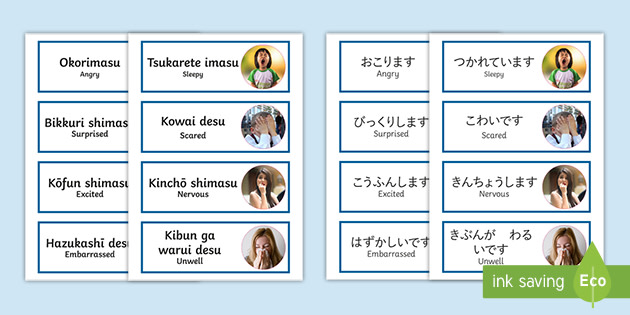 Large Detailed Emotions and Feelings Photo Word Cards Japanese
