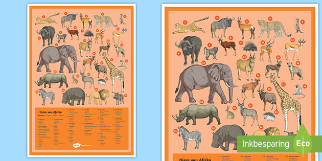 Diere van Afrika Plakkaat (teacher made)