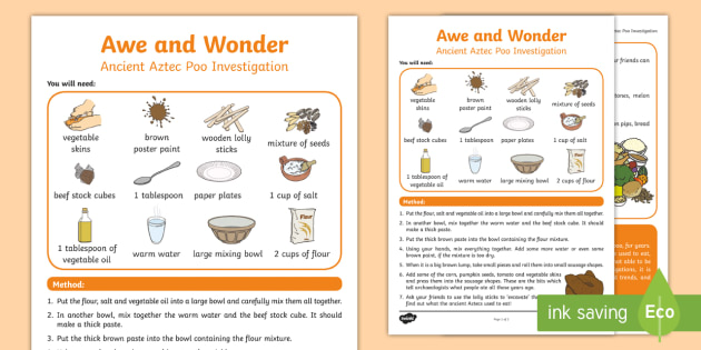 KS1 Ancient Poo Investigation Activity (teacher made)