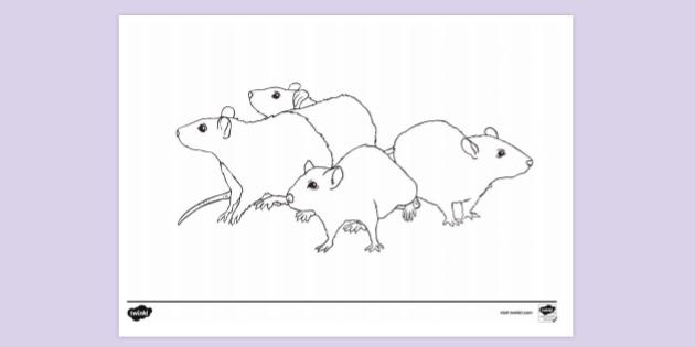 FREE! - The Rats Colouring | Colouring Sheets (teacher made)