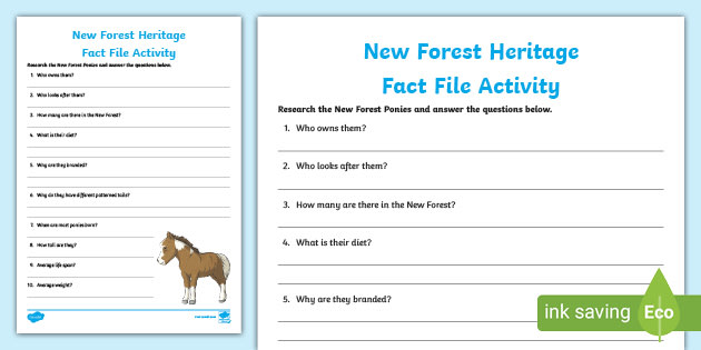 FREE! - New Forest Heritage Fact File Activity | Printable Resource