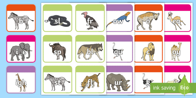 Phase 2 to 5 Phonemes on Safari Animals Flashcards