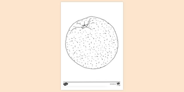 FREE! - Orange Colouring Sheet (Teacher-Made)