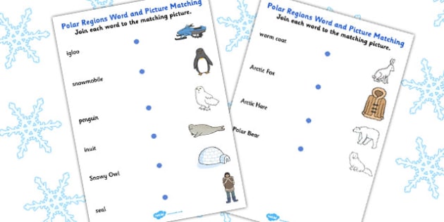 Polar Regions Picture Matching Worksheet / Worksheet