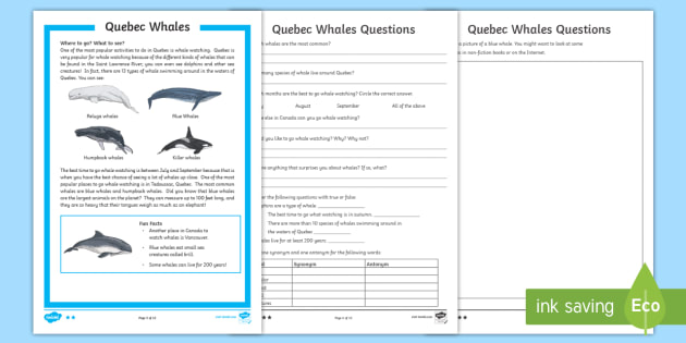 Quebec Whales Differentiated Reading Comprehension Activity